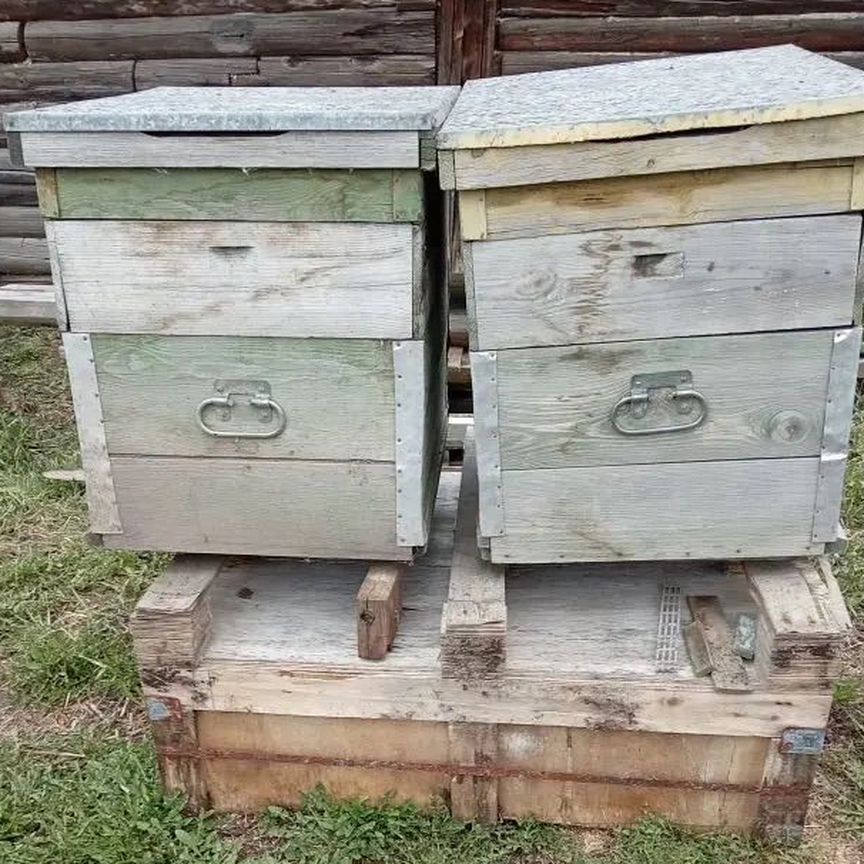 Ульи для пчел