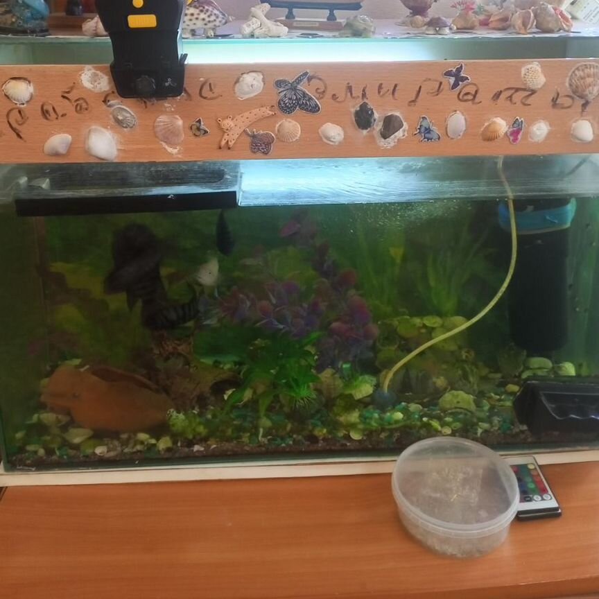 Аквариум с рыбками