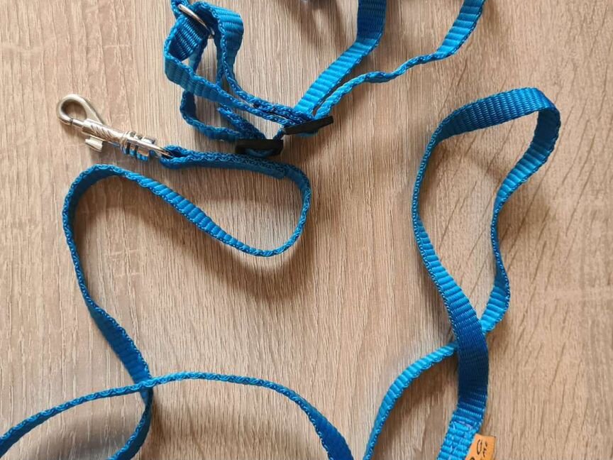 Ошейник-поводок для кошек и мелких собак