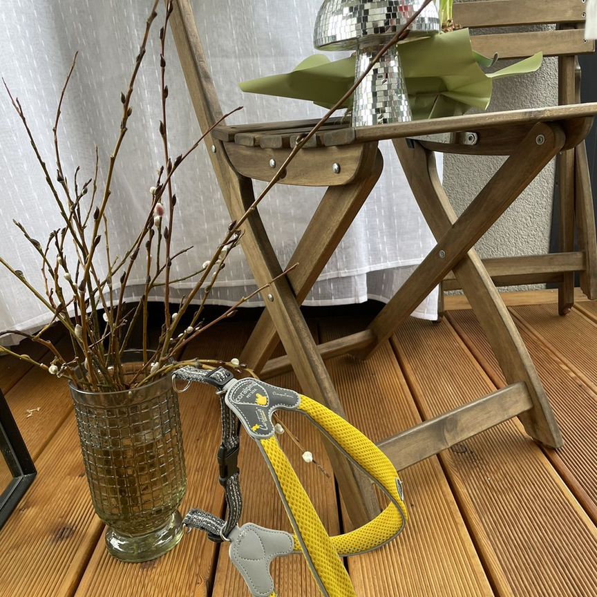 Шлейка coralpina 40 см