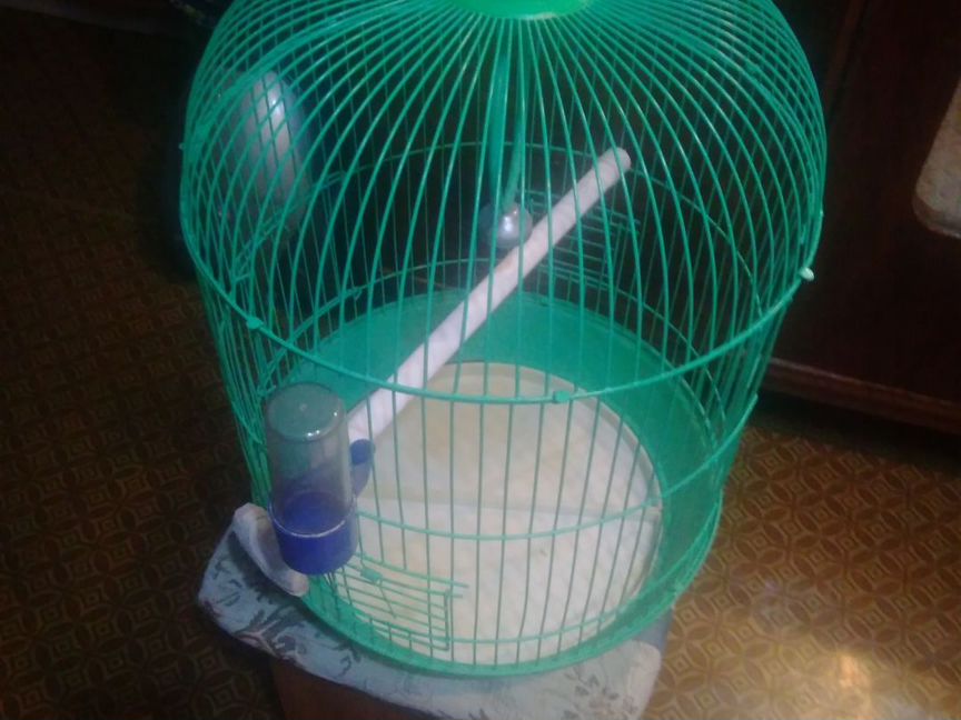 Клетка для попугая б/у