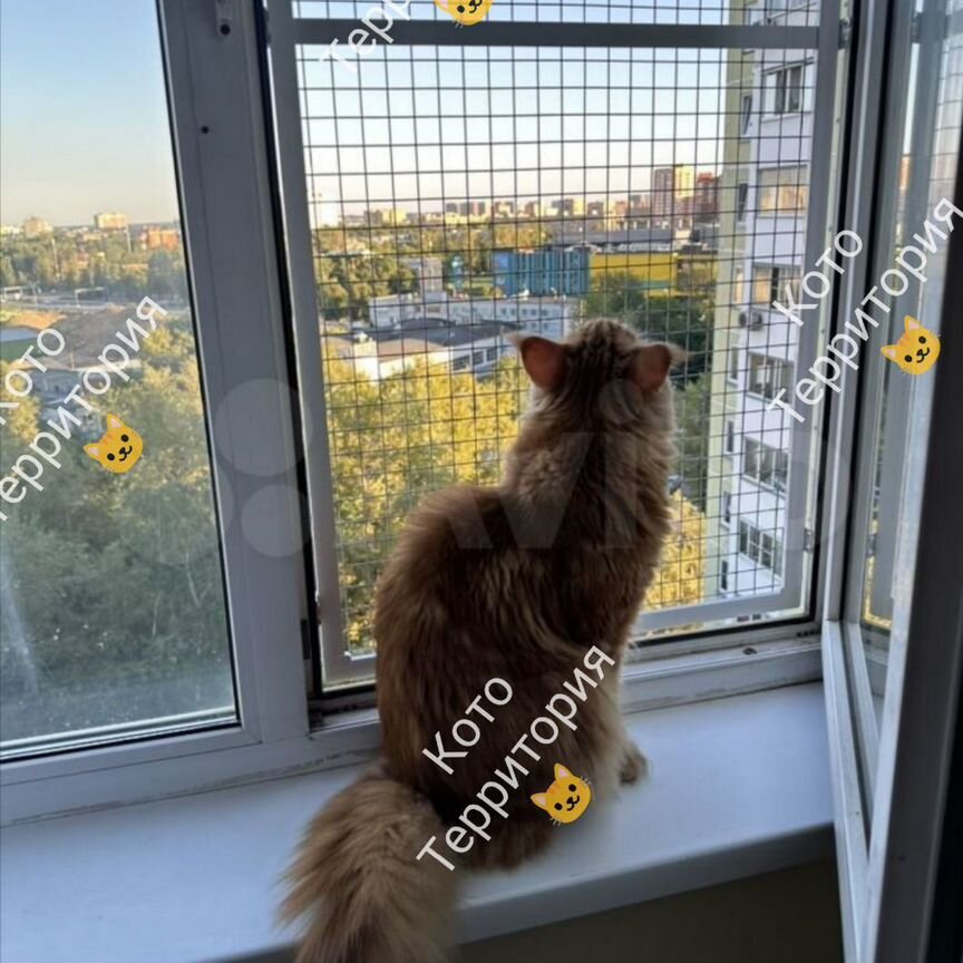 Сетка на окна антикошка