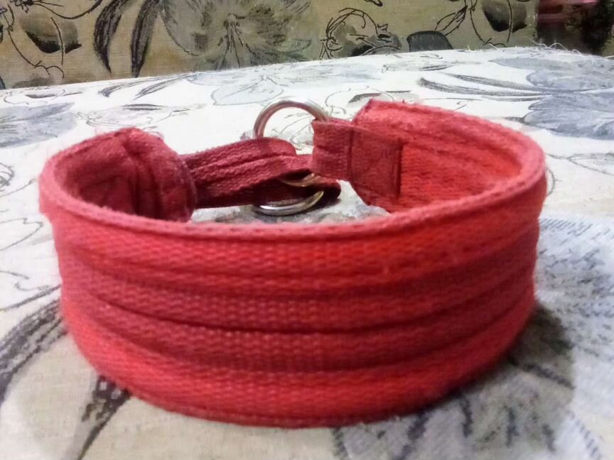 Ошейник мартингейл (полуудавка)