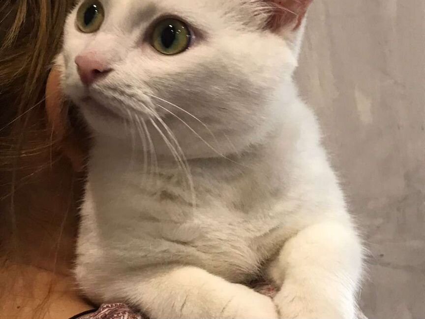 Бусинка около 3 х лет