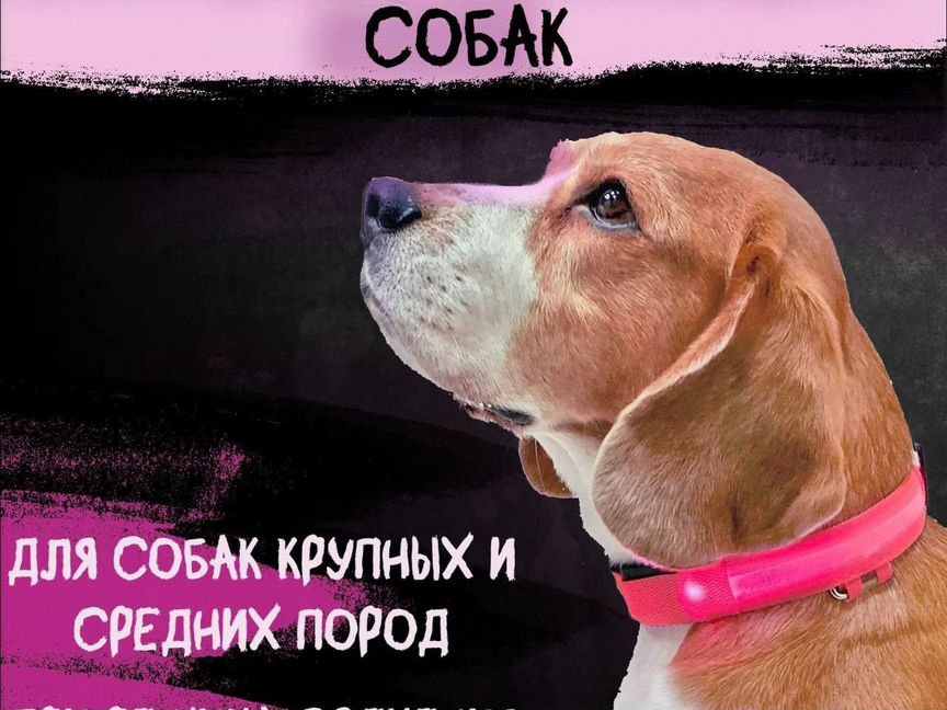 Ошейник для собак светящийся
