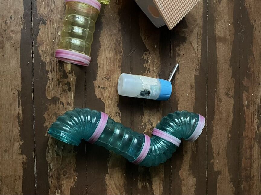 Для хомяка