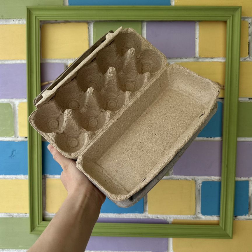 Ячейки для яиц