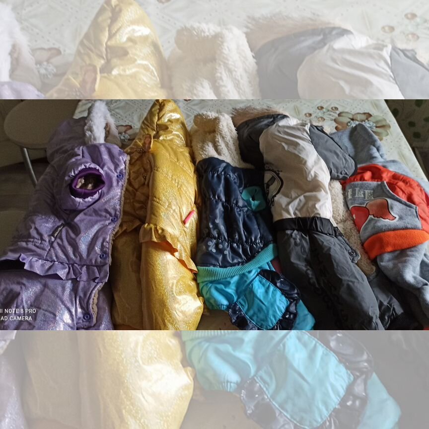 Одежда для собак