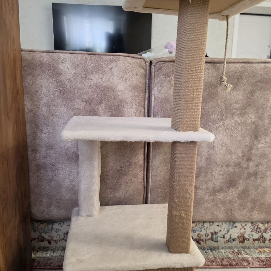 Когтеточка домик для кошки