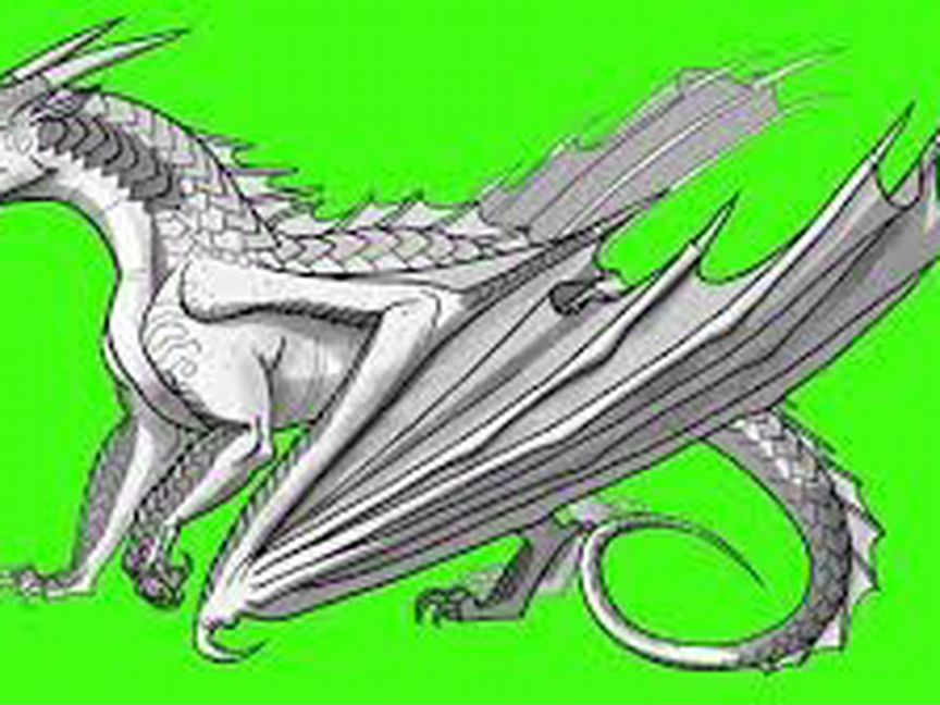 Куры несушки продам