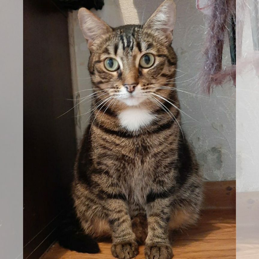 Ищем передержку, а лучше Семью