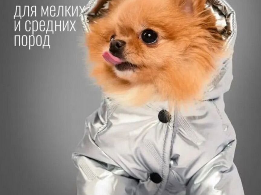 Комбенизон и ботиночки для мелких пород