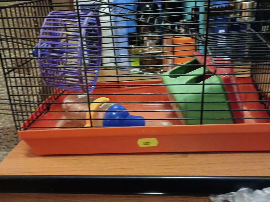 Клетка для джунгарика