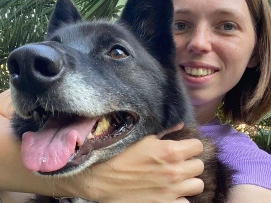 Алиса большая добрая собака