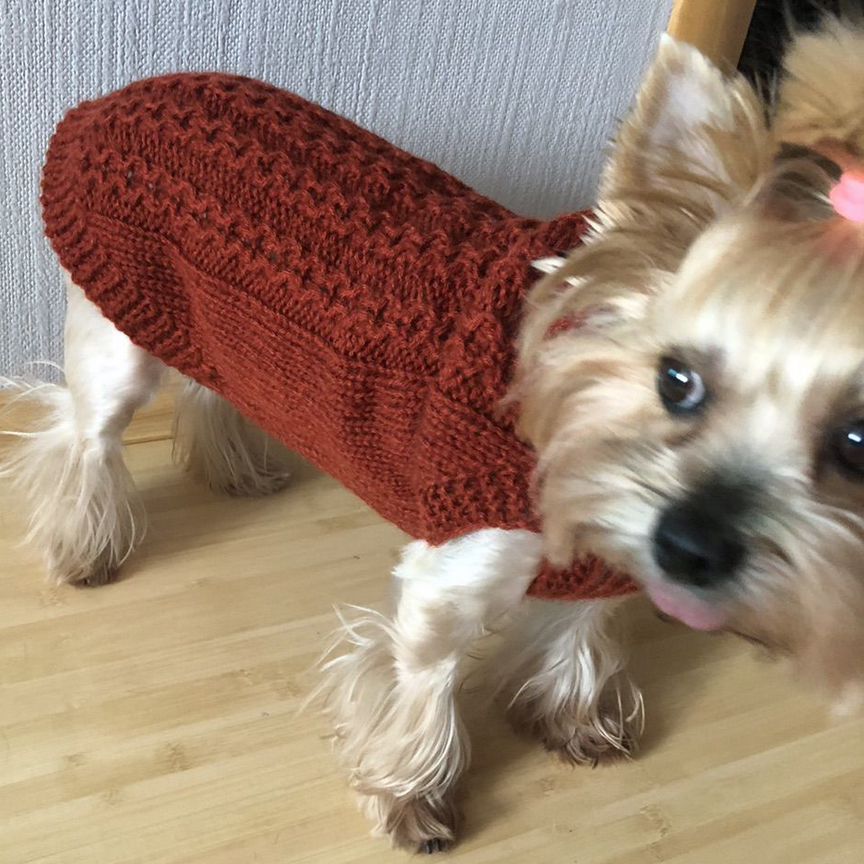 Кофточка для собачки
