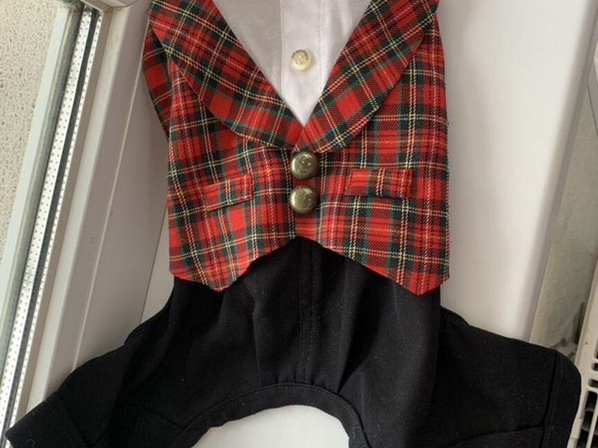 Костюм для собаки