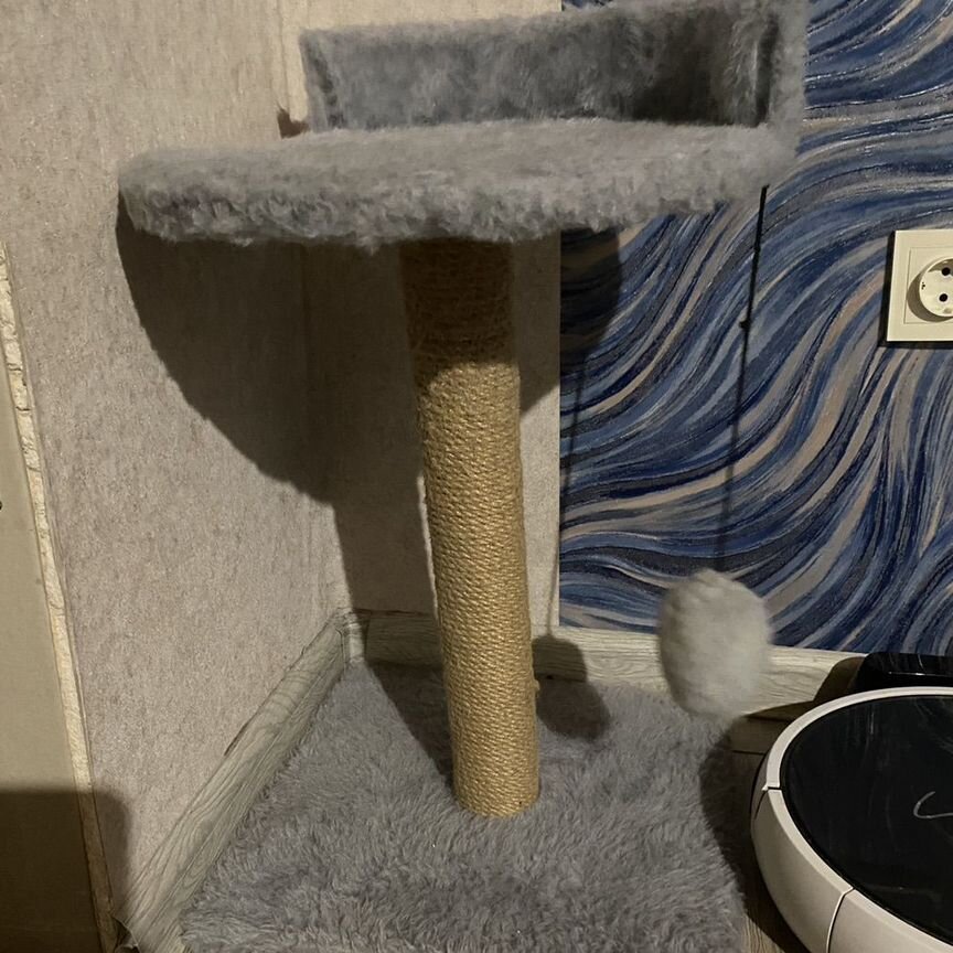 Когтеточка