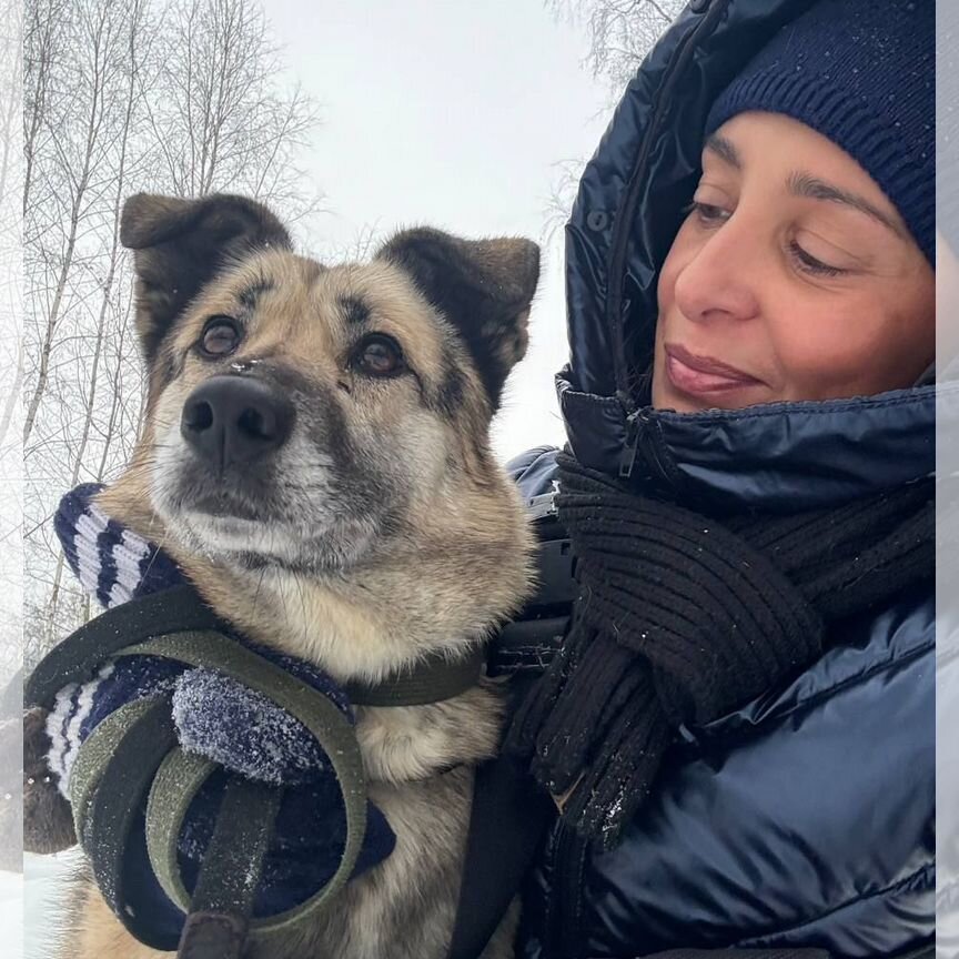 Взрослая собака в добрые руки