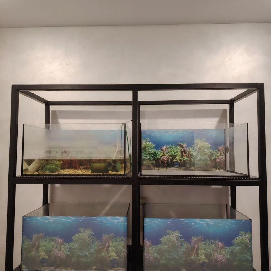 Аквариум