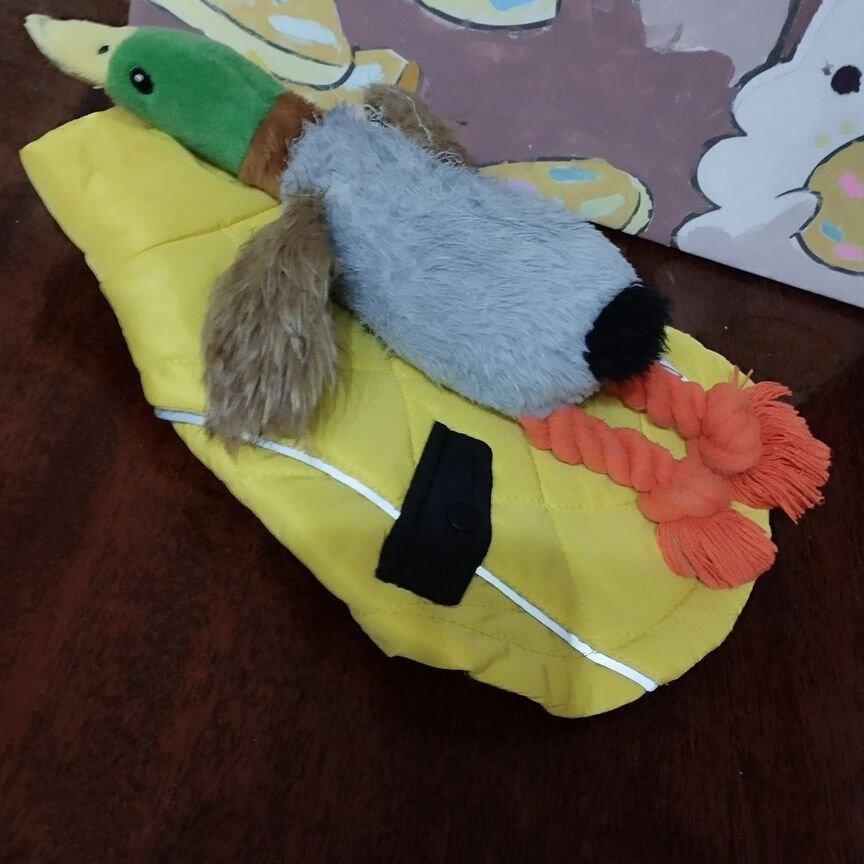 Жилетка для маленьких собак