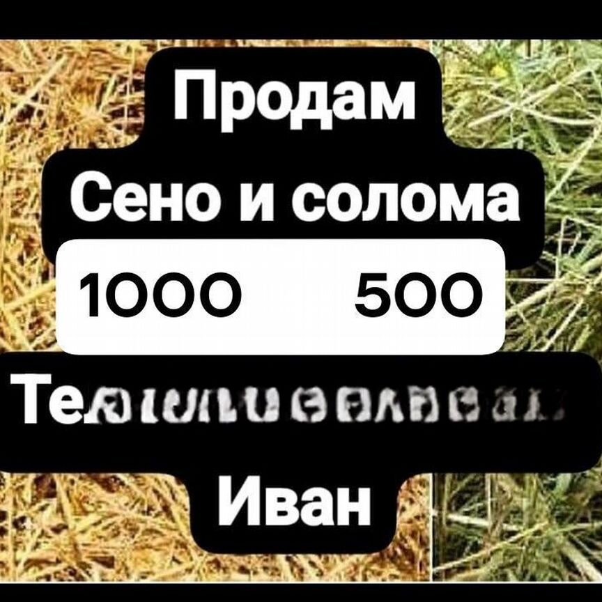 Сено солома