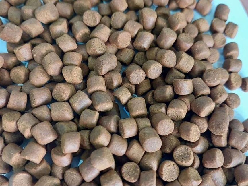 Корм для прудовой рыбы