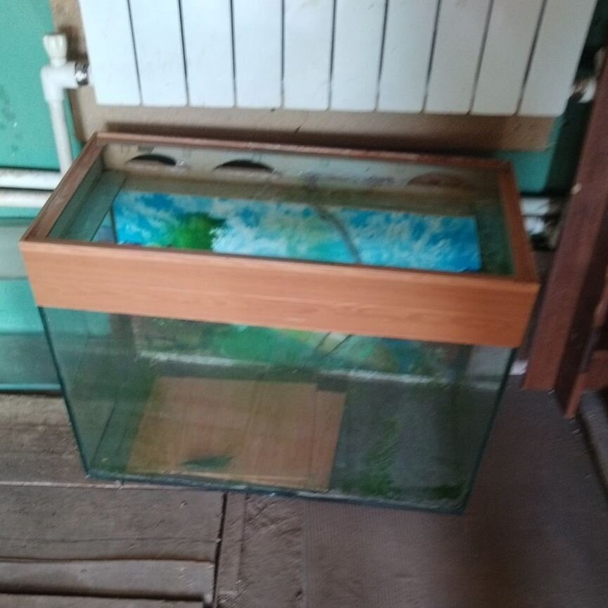 Аквариум