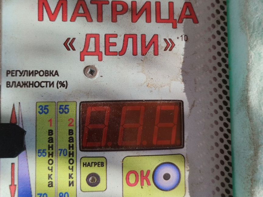 Инкубатор Матрица Дели