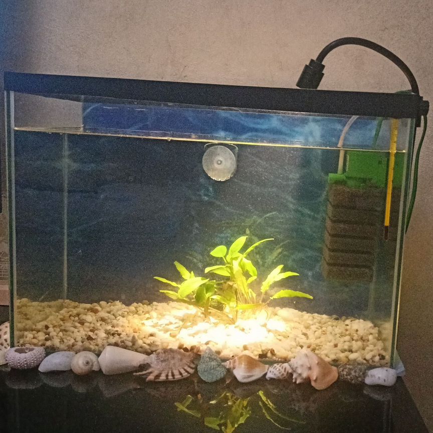 Аквариумные принадлежности