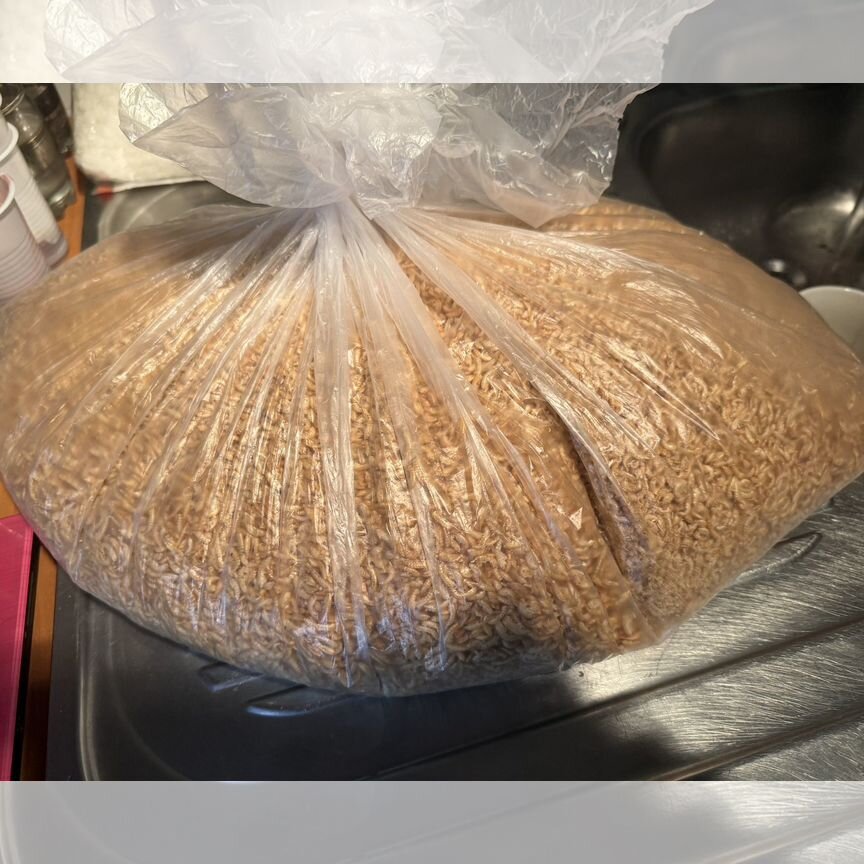 Гаммарус сухой