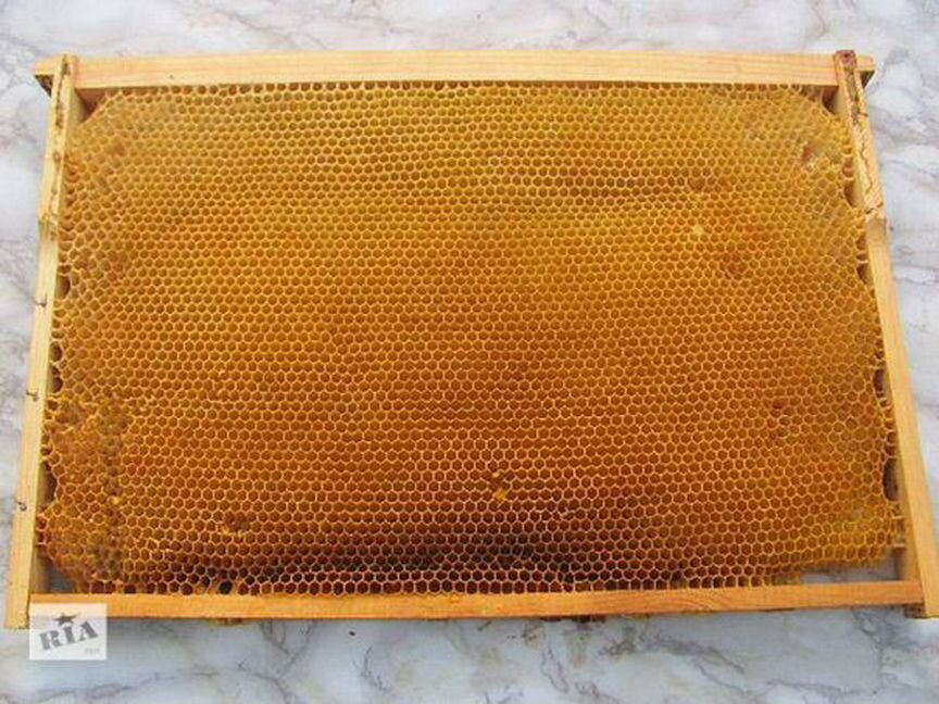 Сушь для пчел рамка гнездовая 300мм