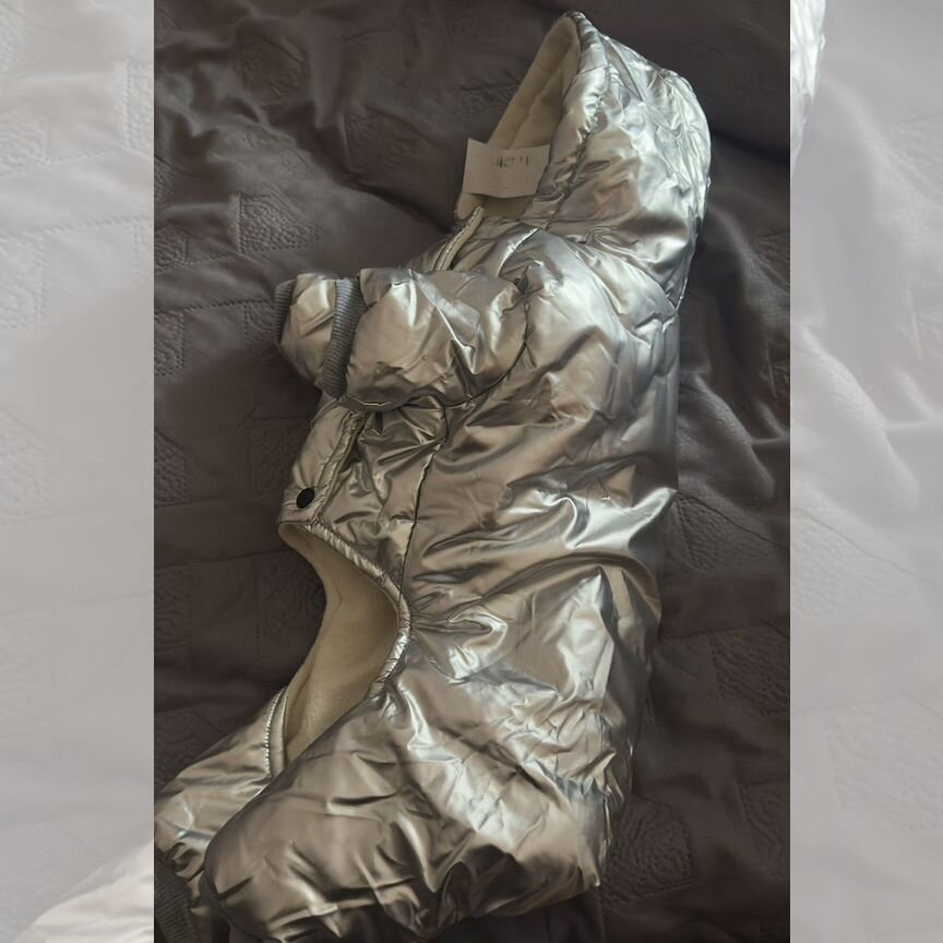 Одежда для собак мелких пород новое