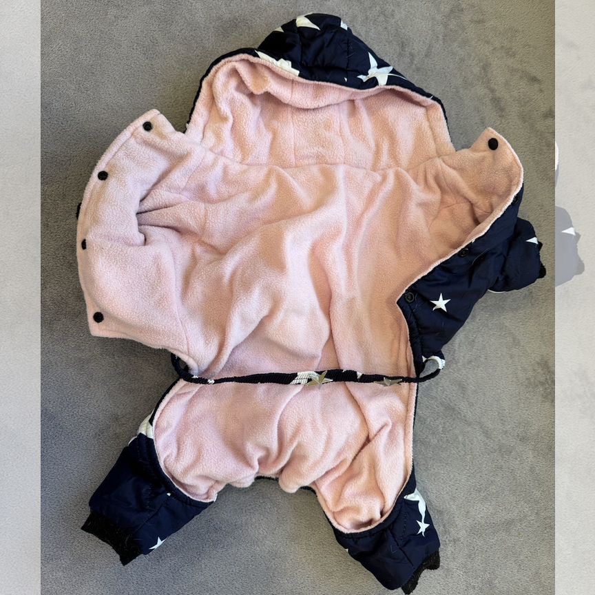 Костюм для собаки