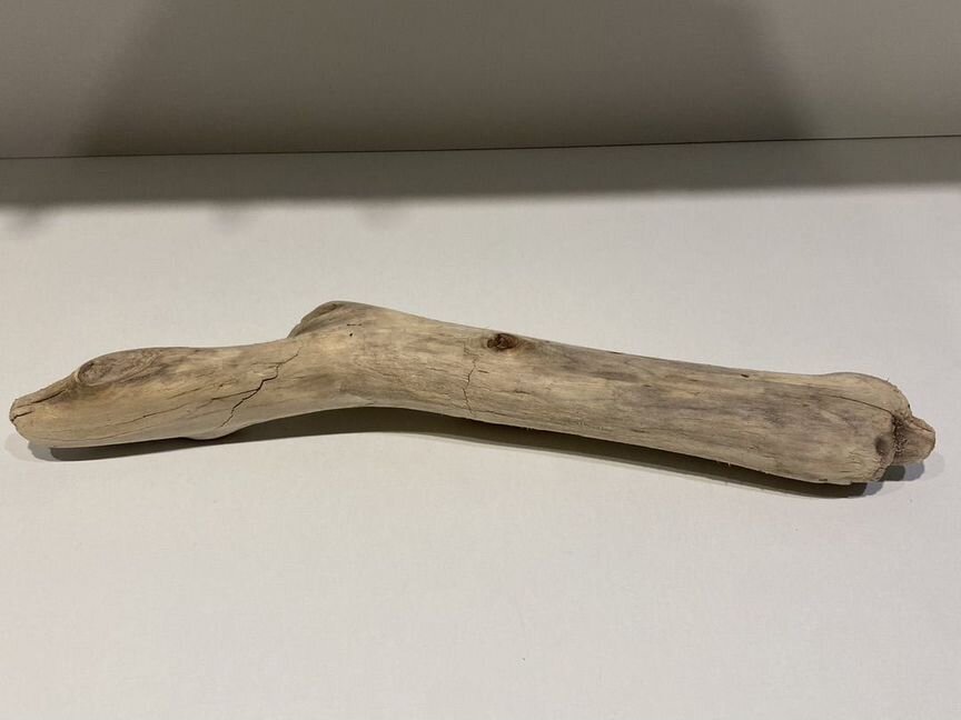 Коряги для террариума. Дрифтвуд