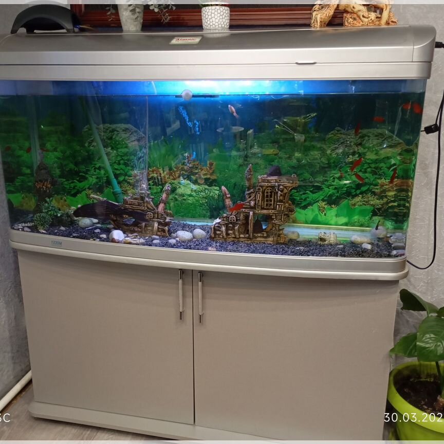 Аквариум с тумбой 295 литров atman FR-1230R