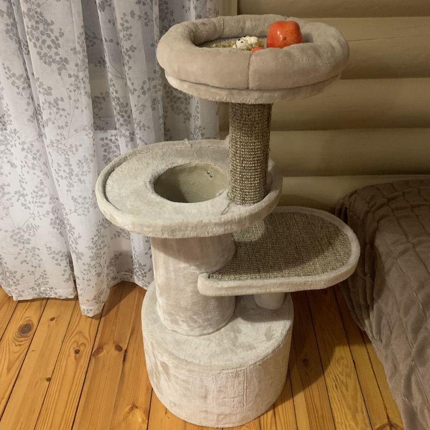 Кошачий комплекс