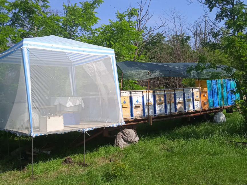 Улики для пчеловодства