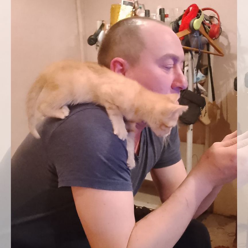 Котёнок в добрые руки