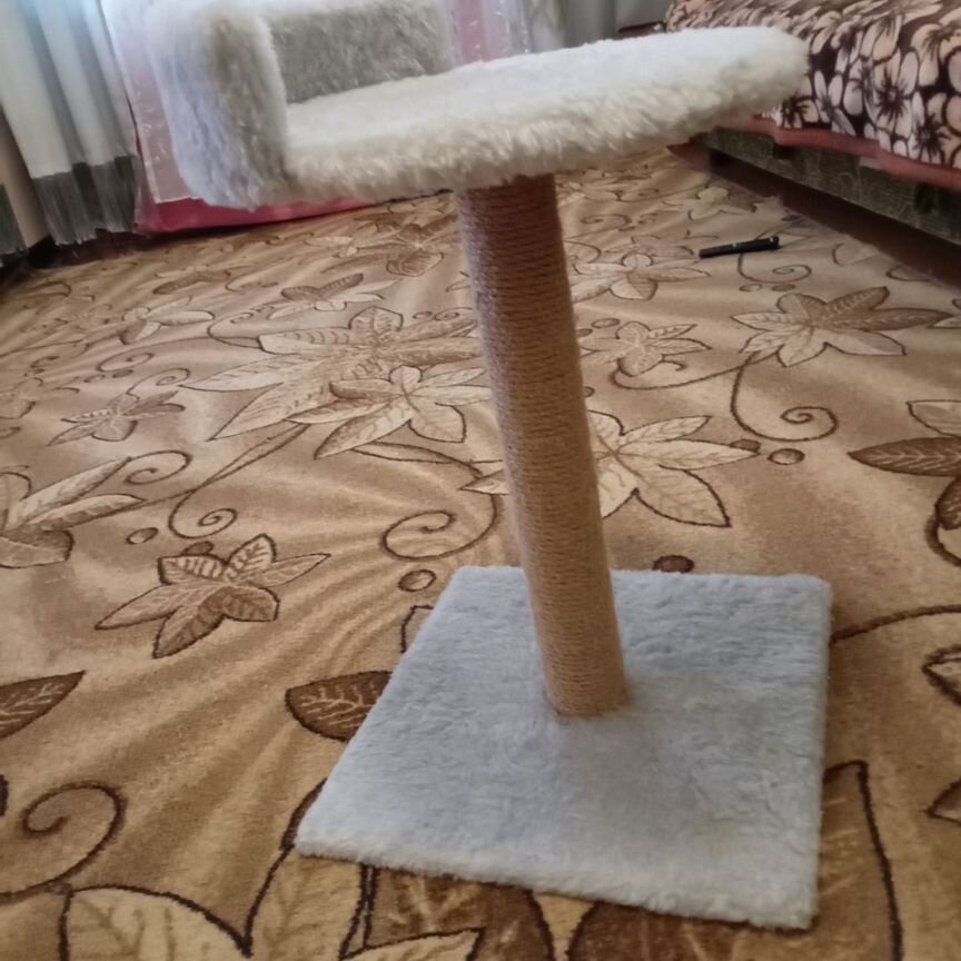 Когтеточка