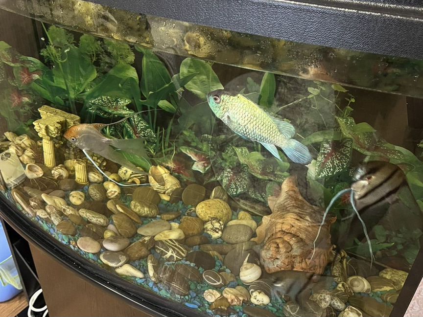 Аквариум с тумбой