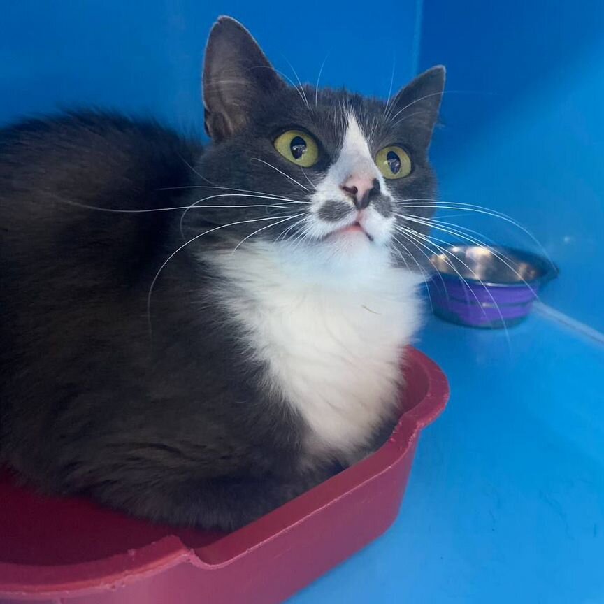 Спасите девочку