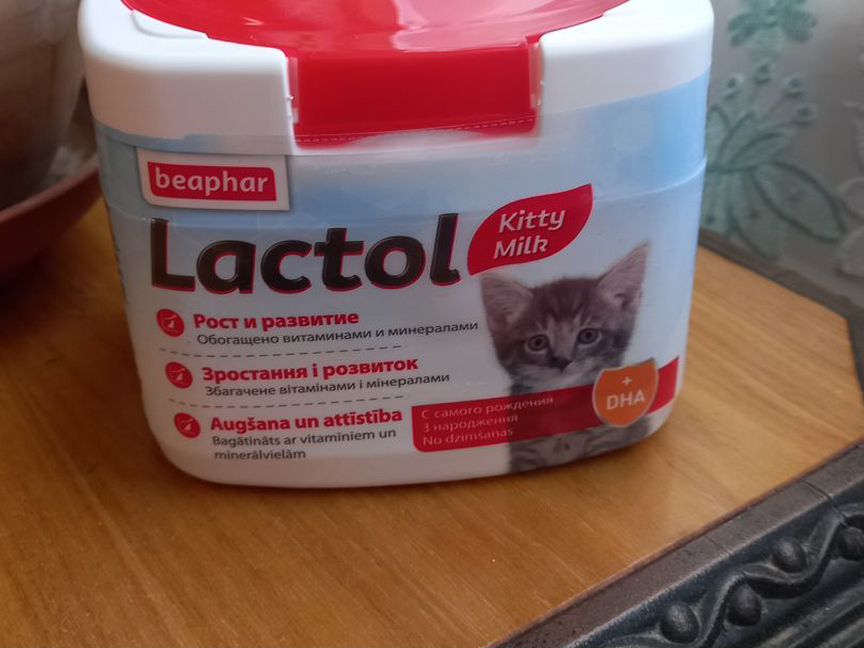 Питание для новорожденных котят