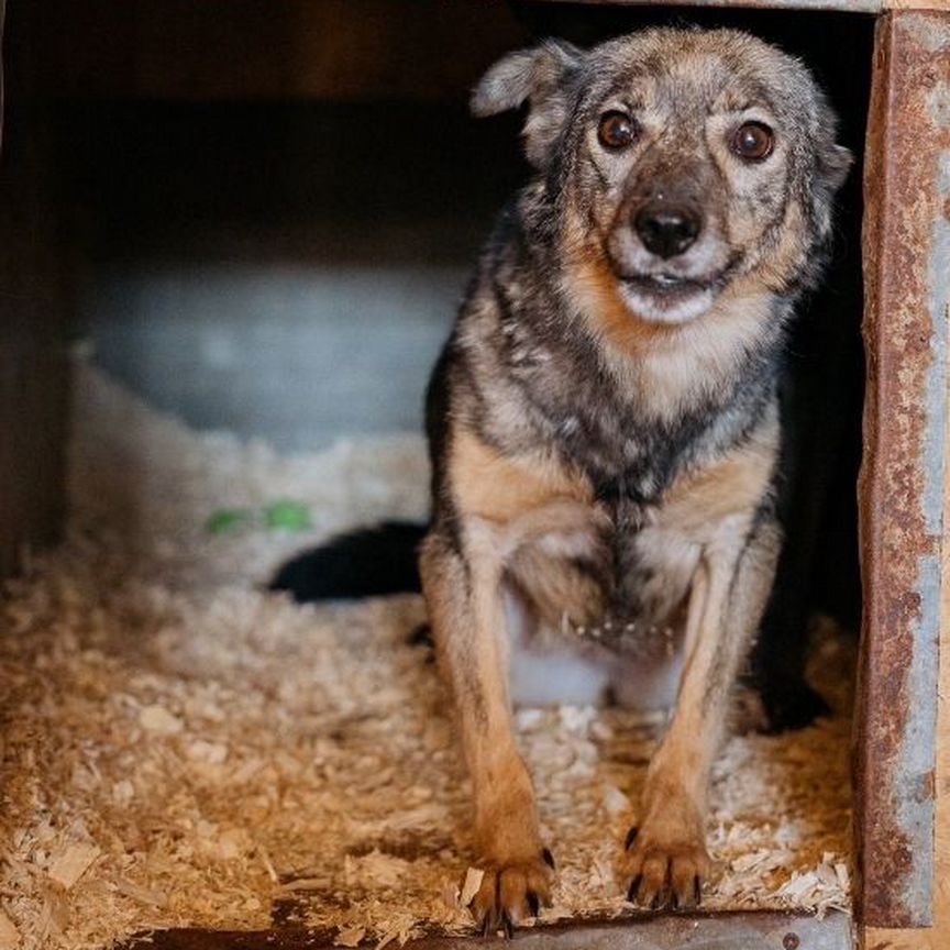 Крошка Мотя в большом приюте