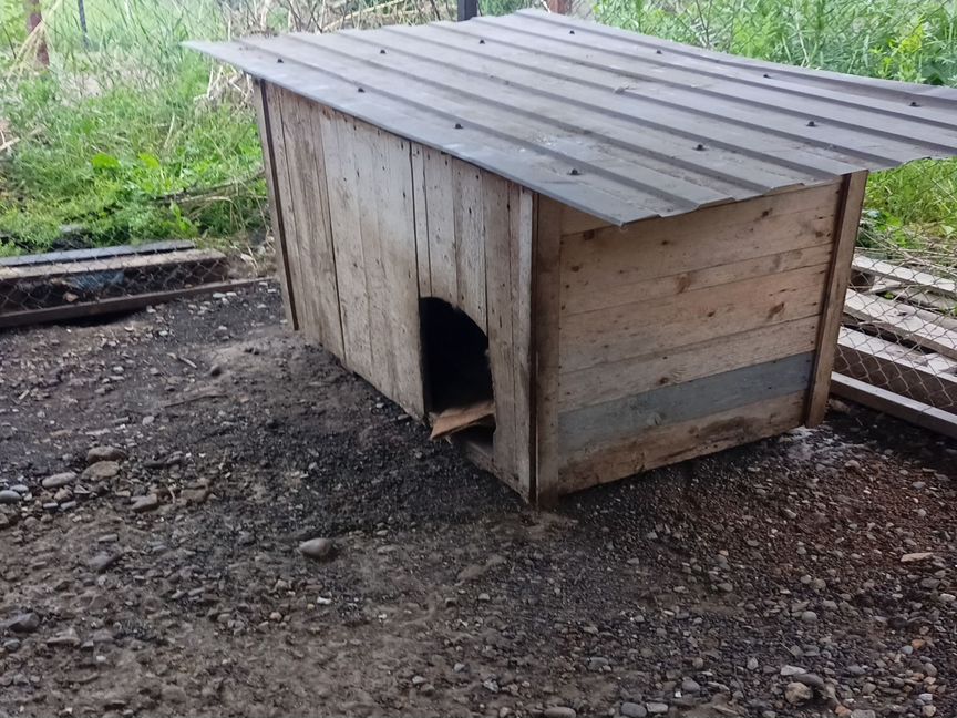 Будка для большой собаки