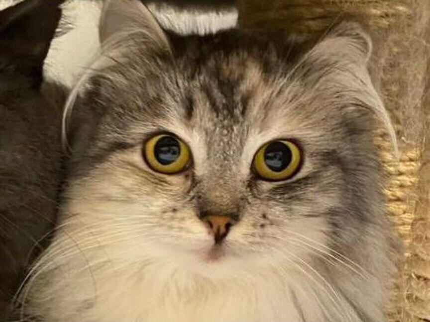 Никто не любит