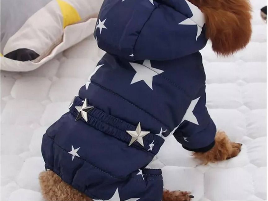 Комбинезоны для собак 2 шт