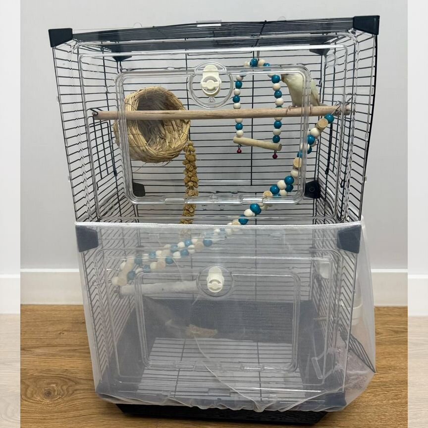 Волнистый попугай с клеткой