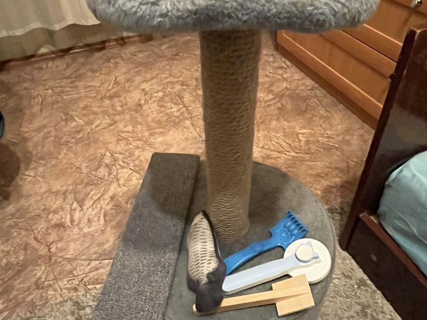 Домик для кошки с когтеточкой бу