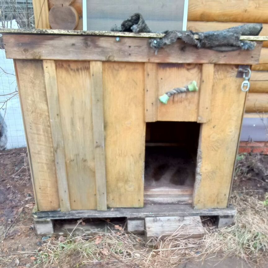 Будка для собаки утепленная продам