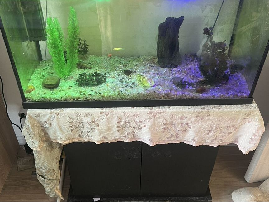 Аквариум бу с тумбой и всем что есть